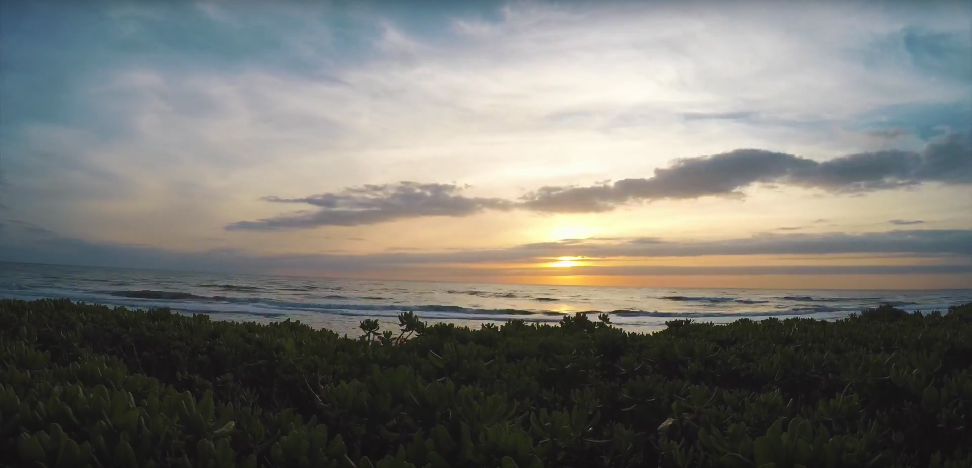 Boca Grande Community – Boca Grande Area Chamber of Commerce